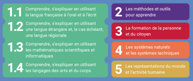 Organisation des enseignements